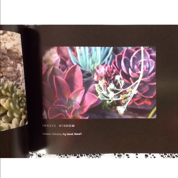 Robyn Singh | Accents | Haynes Creations Hawaii Coffee Table Book ...